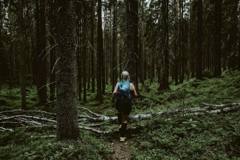 Nuuksio National Park - Trail Running - In the Woods, Dear