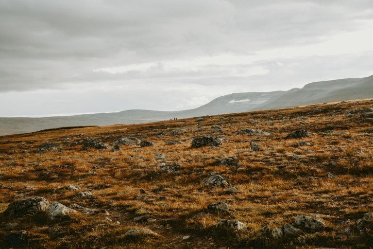 Halti Hike - Kilpisjärvi & The Nordkalott Trail - In the Woods, Dear