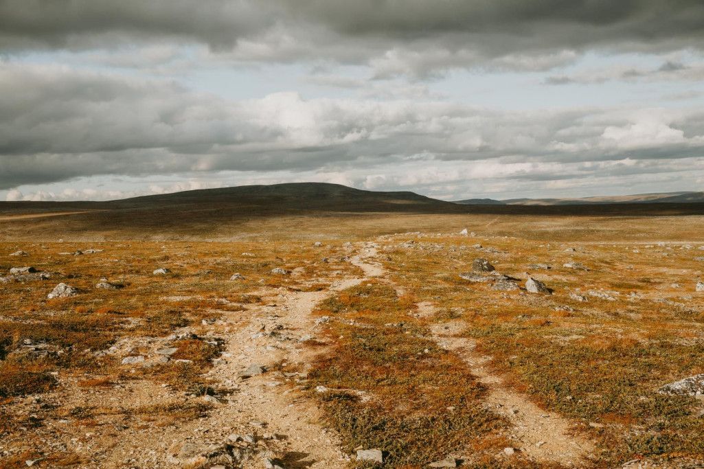 Halti Hike - Kilpisjärvi & The Nordkalott Trail - In the Woods, Dear