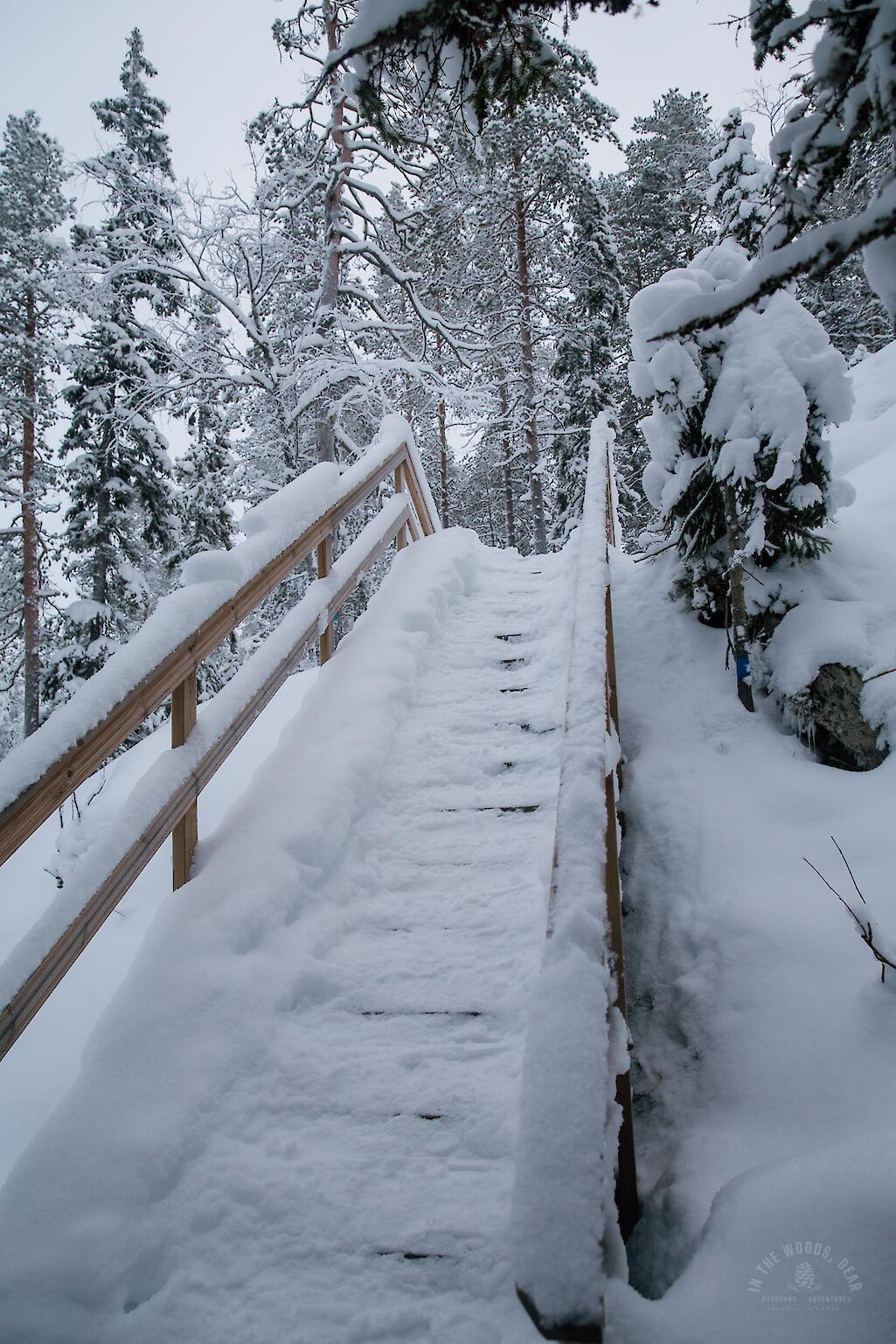 Snowshoeing in Koli National Park – the National Landscape of Finland ...