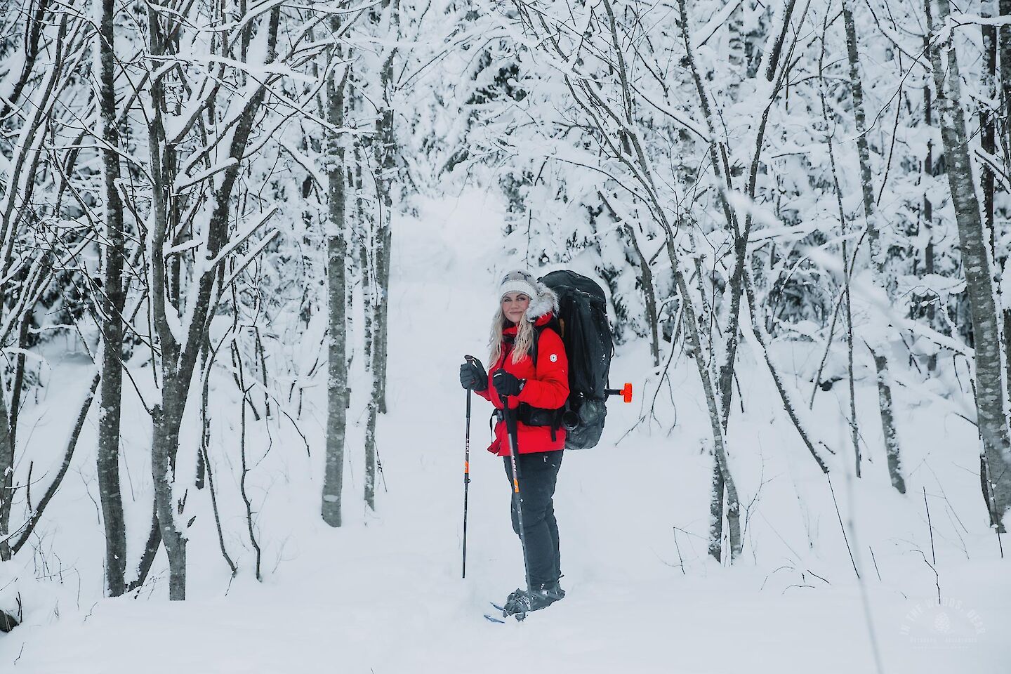 Koli National Park in Winter - Finland's National Landscape - In the ...