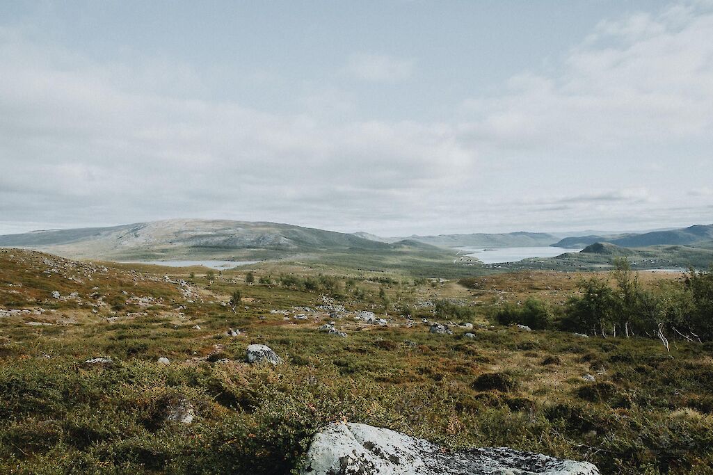Kilpisjärvi Trails in Lapland - Saana Fell - In the Woods, Dear