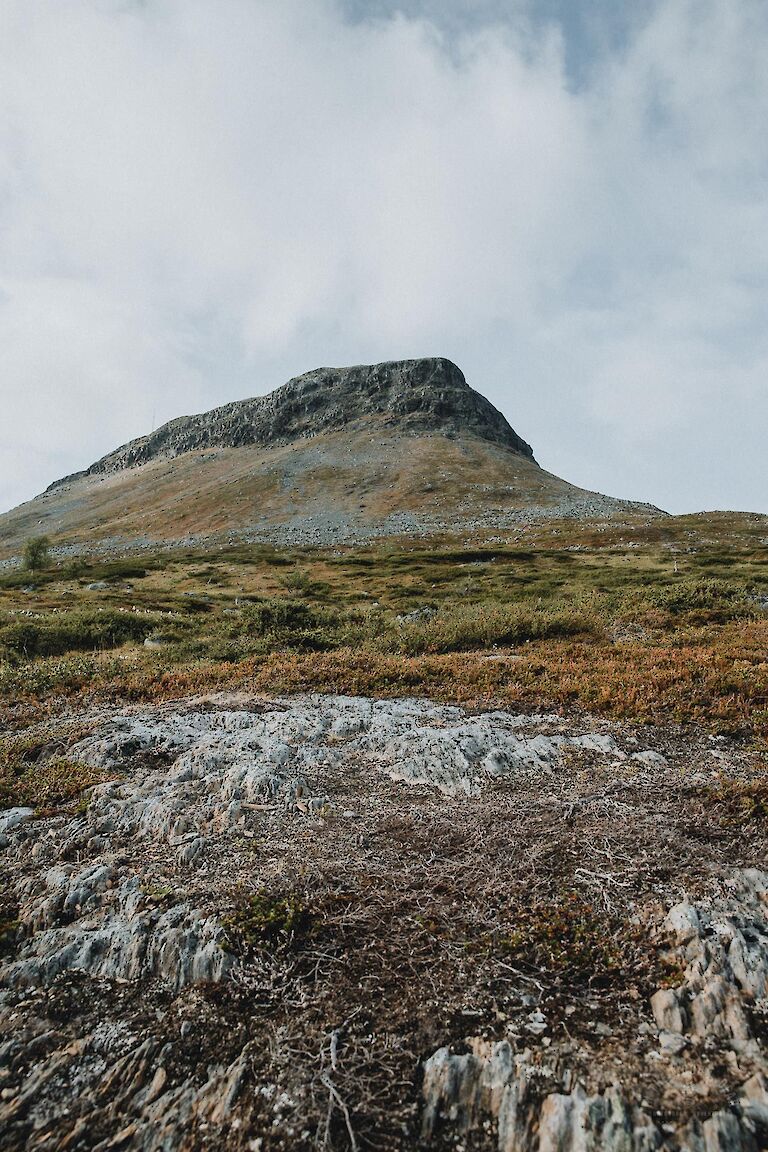 Kilpisjärvi Trails in Lapland - Saana Fell - In the Woods, Dear