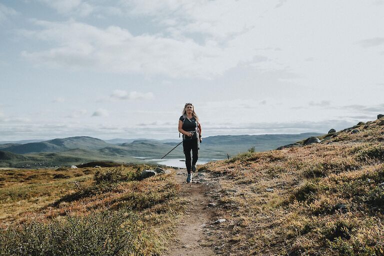 Kilpisjärvi Trails in Lapland - Saana Fell - In the Woods, Dear