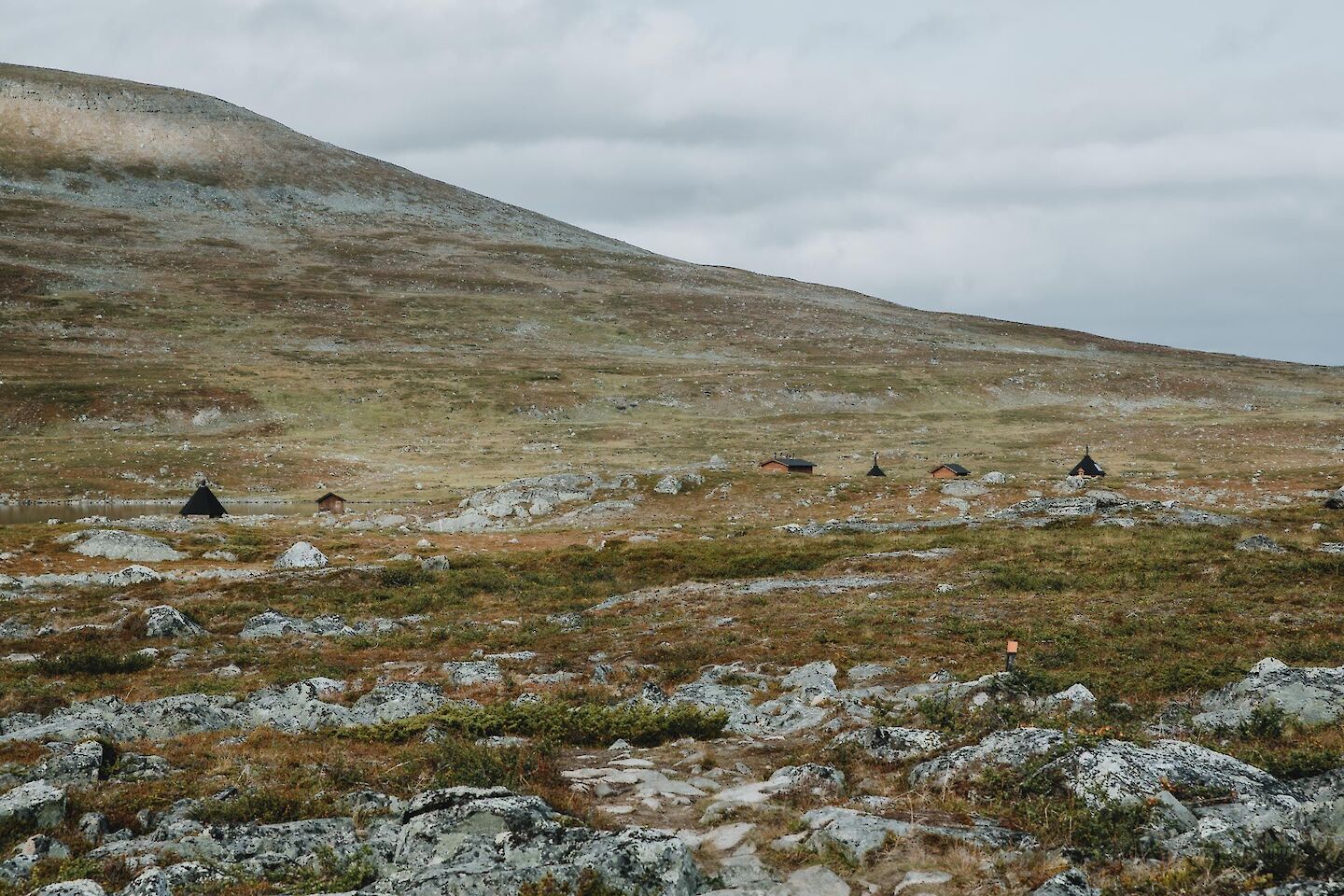 Kilpisjärvi Trails in Lapland - Saana Fell - In the Woods, Dear