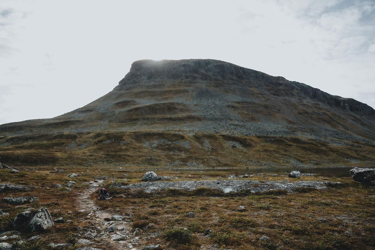 Kilpisjärvi Trails in Lapland - Saana Fell - In the Woods, Dear