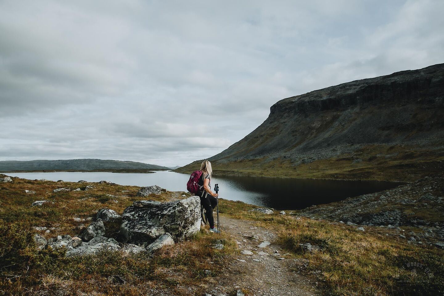 Kilpisjärvi Trails in Lapland - Saana Fell - In the Woods, Dear
