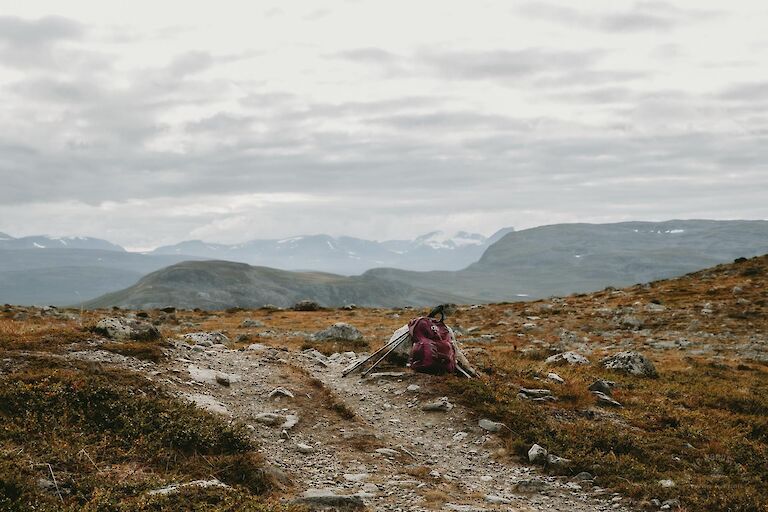 Kilpisjärvi Trails in Lapland - Saana Fell - In the Woods, Dear