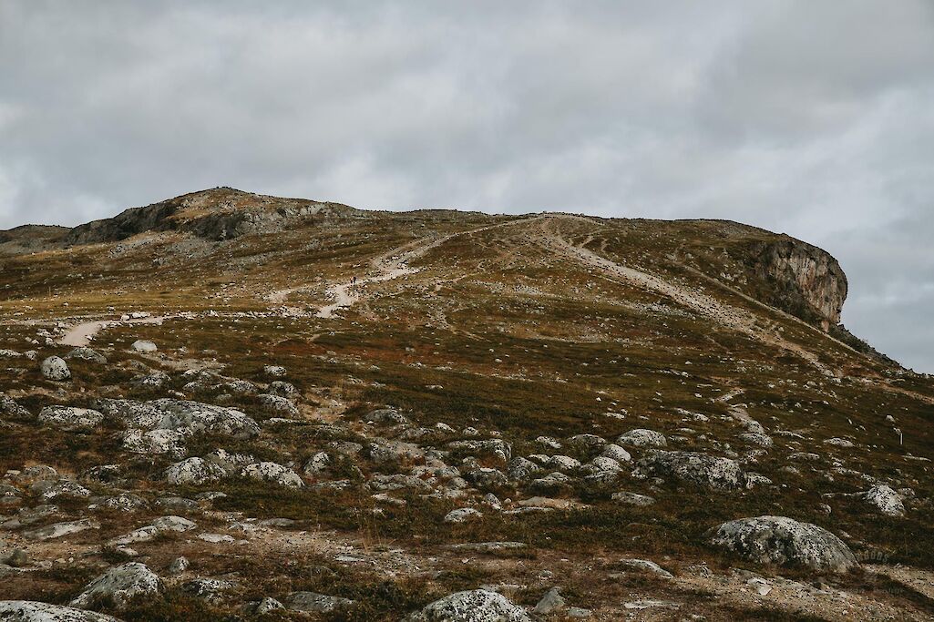 Kilpisjärvi Trails in Lapland - Saana Fell - In the Woods, Dear