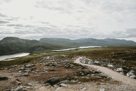 Kilpisjärvi Trails in Lapland - Saana Fell - In the Woods, Dear