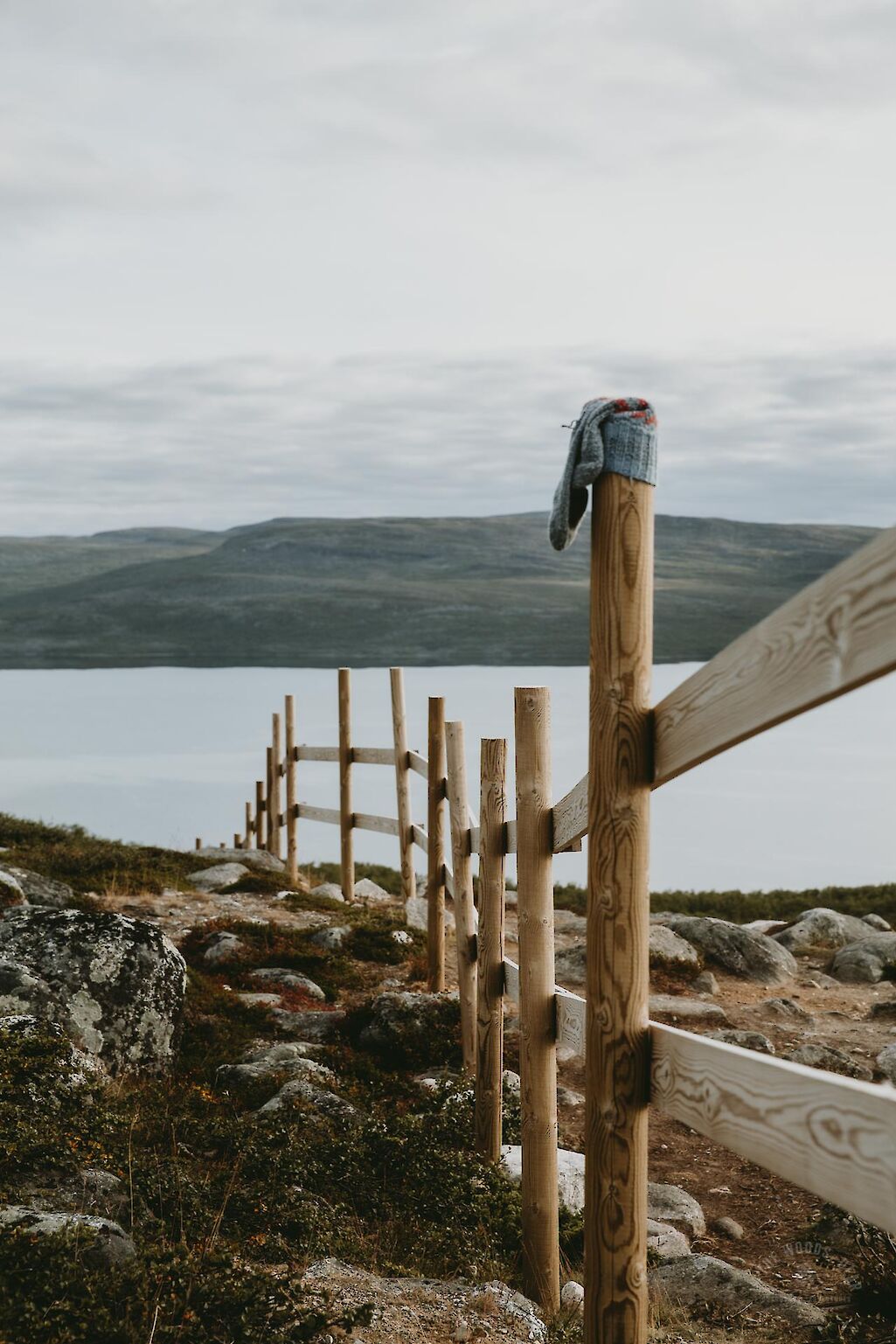 Kilpisjärvi Trails in Lapland - Saana Fell - In the Woods, Dear