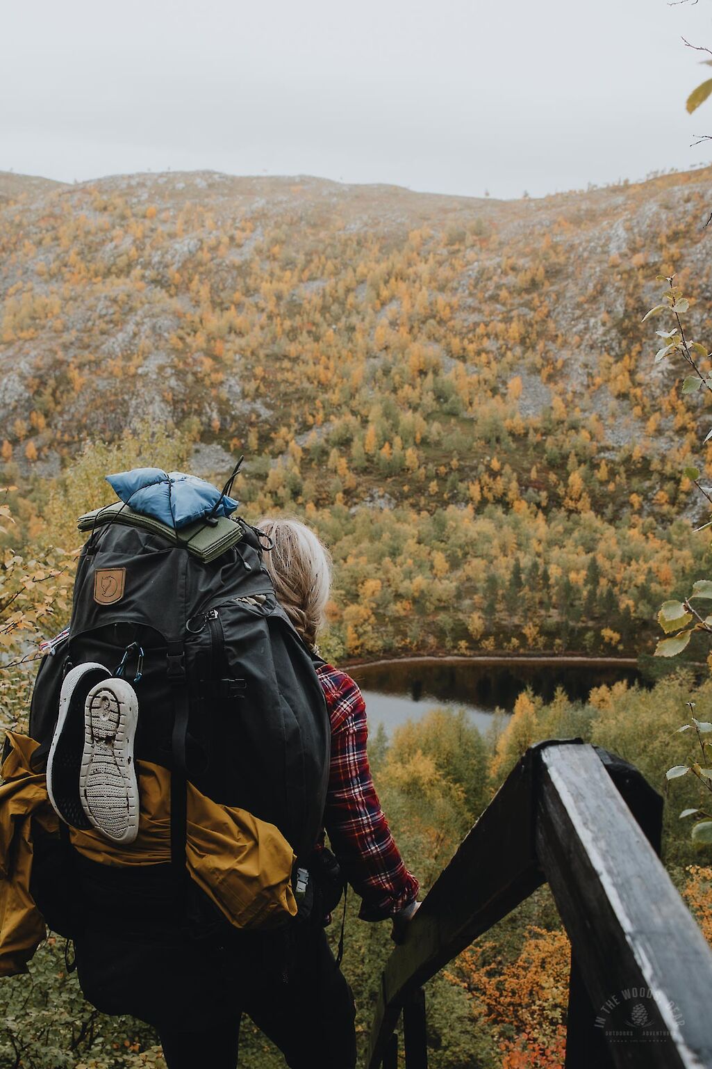 Lapland Finland - Kevo Canyon Hike 63 km - In the Woods, Dear