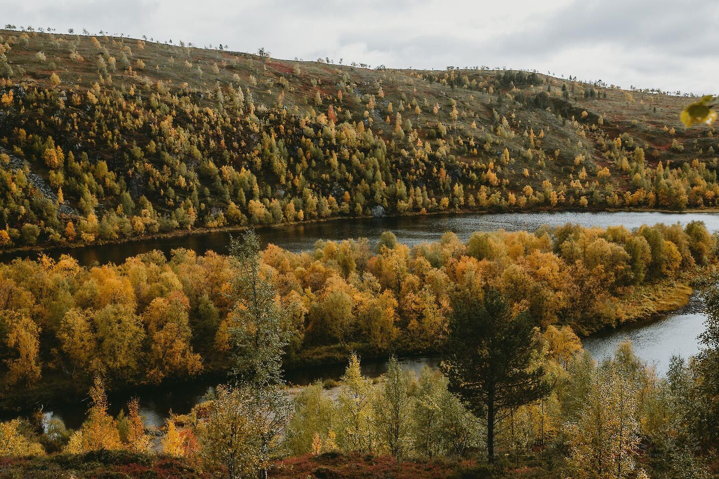 Lapland Finland - Kevo Canyon Hike 63 km - In the Woods, Dear
