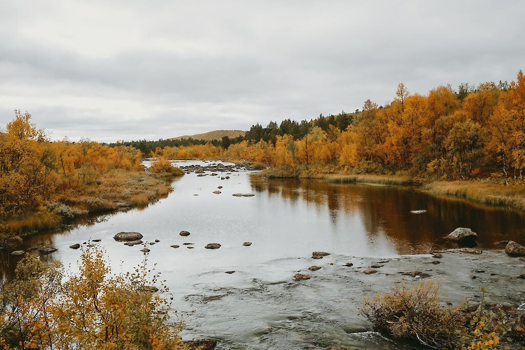 Autumn hiking in Lapland: Muotkatunturi wilderness - In the Woods, Dear