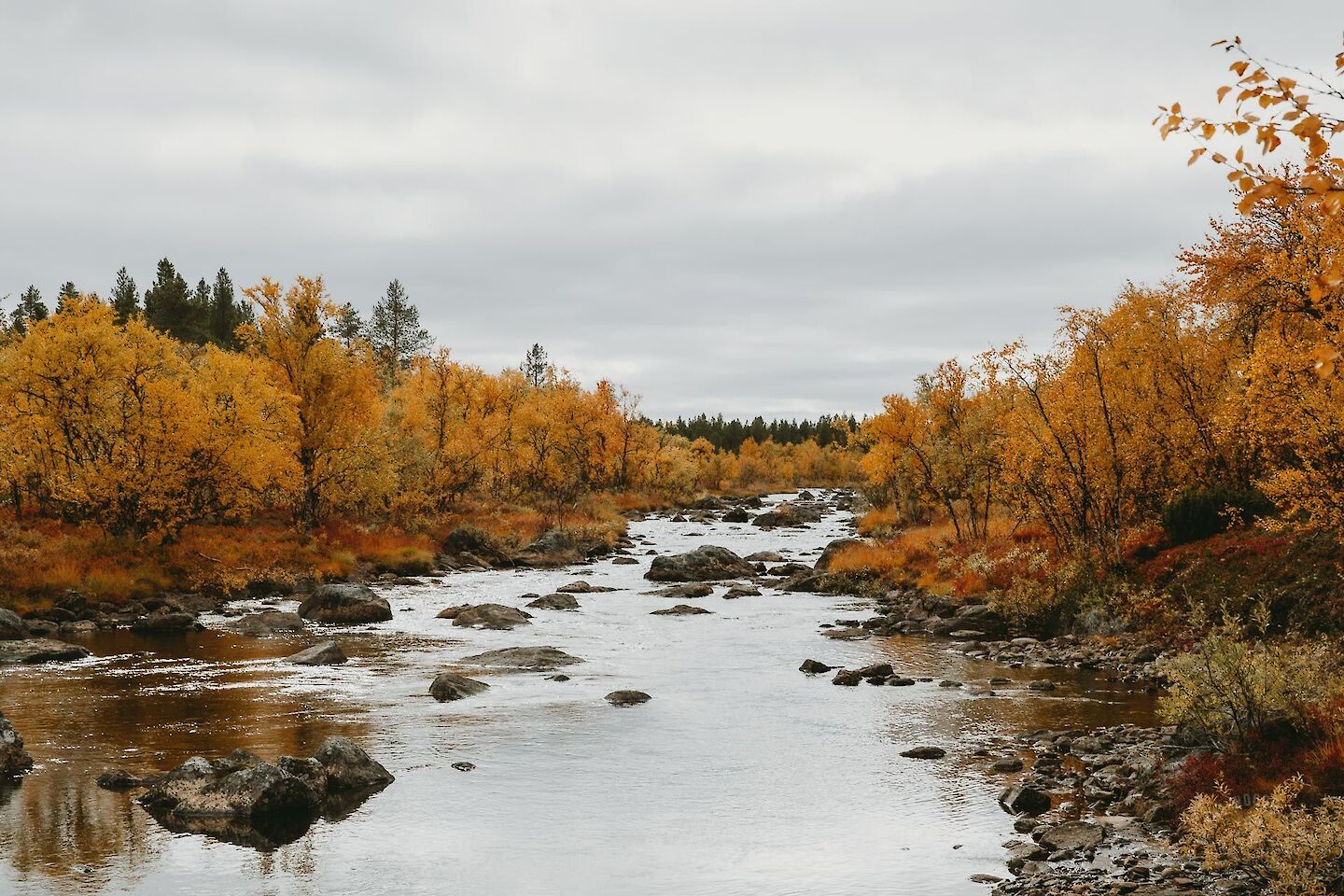 Autumn hiking in Lapland: Muotkatunturi wilderness - In the Woods, Dear