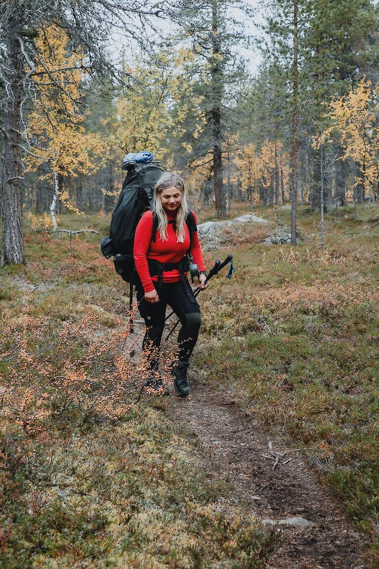Autumn hiking in Lapland: Muotkatunturi wilderness - In the Woods, Dear