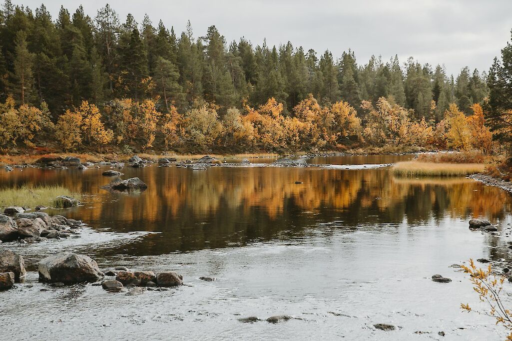 Autumn hiking in Lapland: Muotkatunturi wilderness - In the Woods, Dear