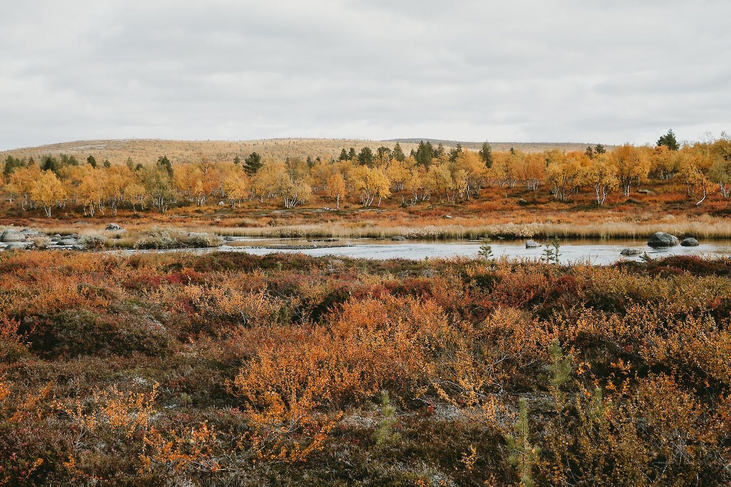 Autumn hiking in Lapland: Muotkatunturi wilderness - In the Woods, Dear
