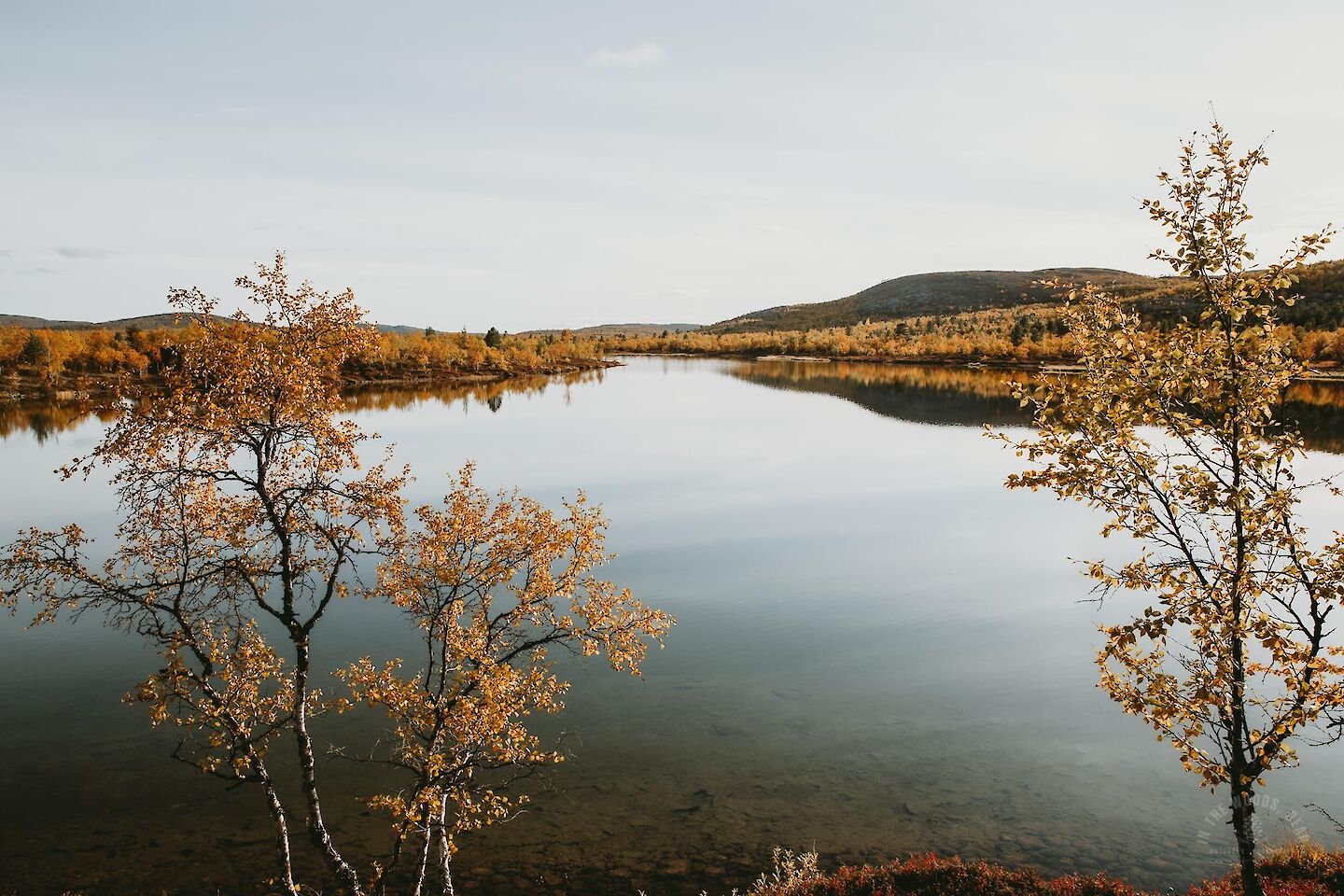 Autumn hiking in Lapland: Muotkatunturi wilderness - In the Woods, Dear