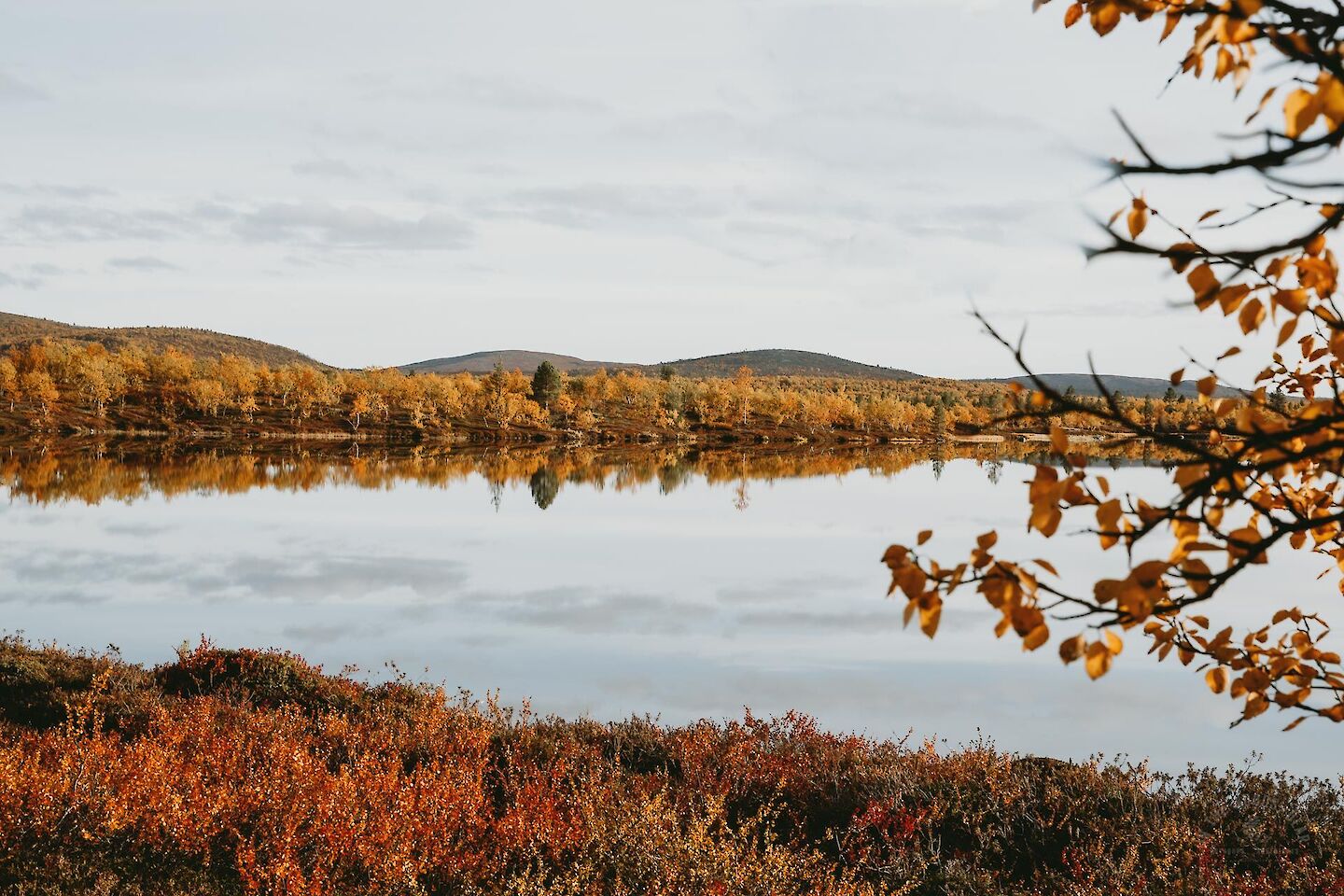 Autumn hiking in Lapland: Muotkatunturi wilderness - In the Woods, Dear