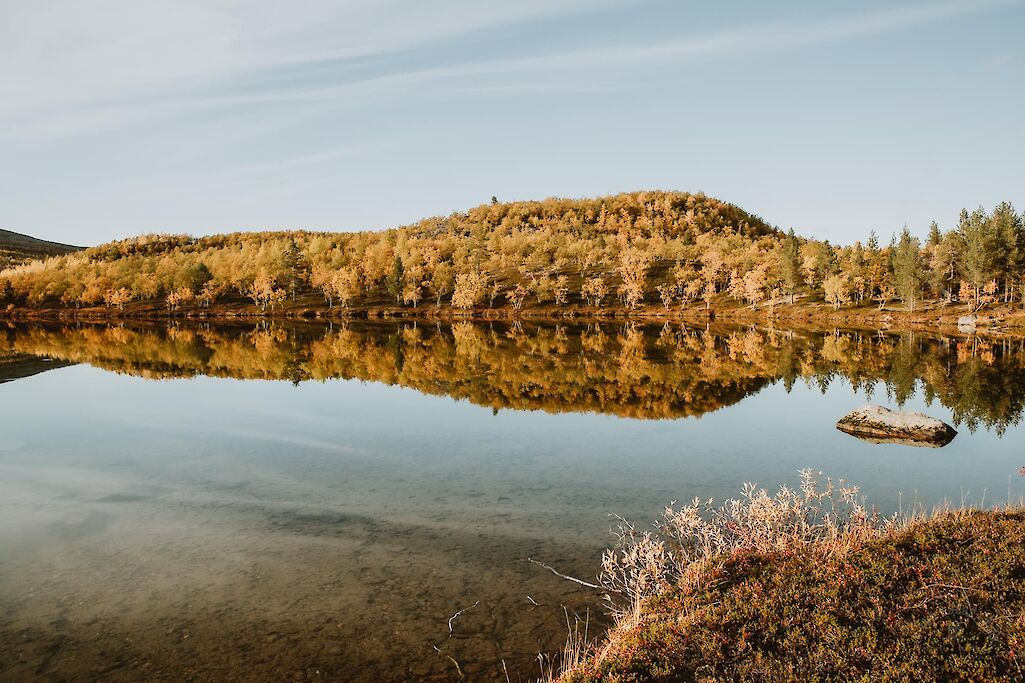 Autumn hiking in Lapland: Muotkatunturi wilderness - In the Woods, Dear
