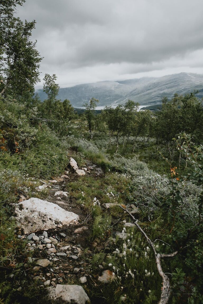Sarek: Hiking Solo Through the Last Great Wilderness of Europe - In the ...