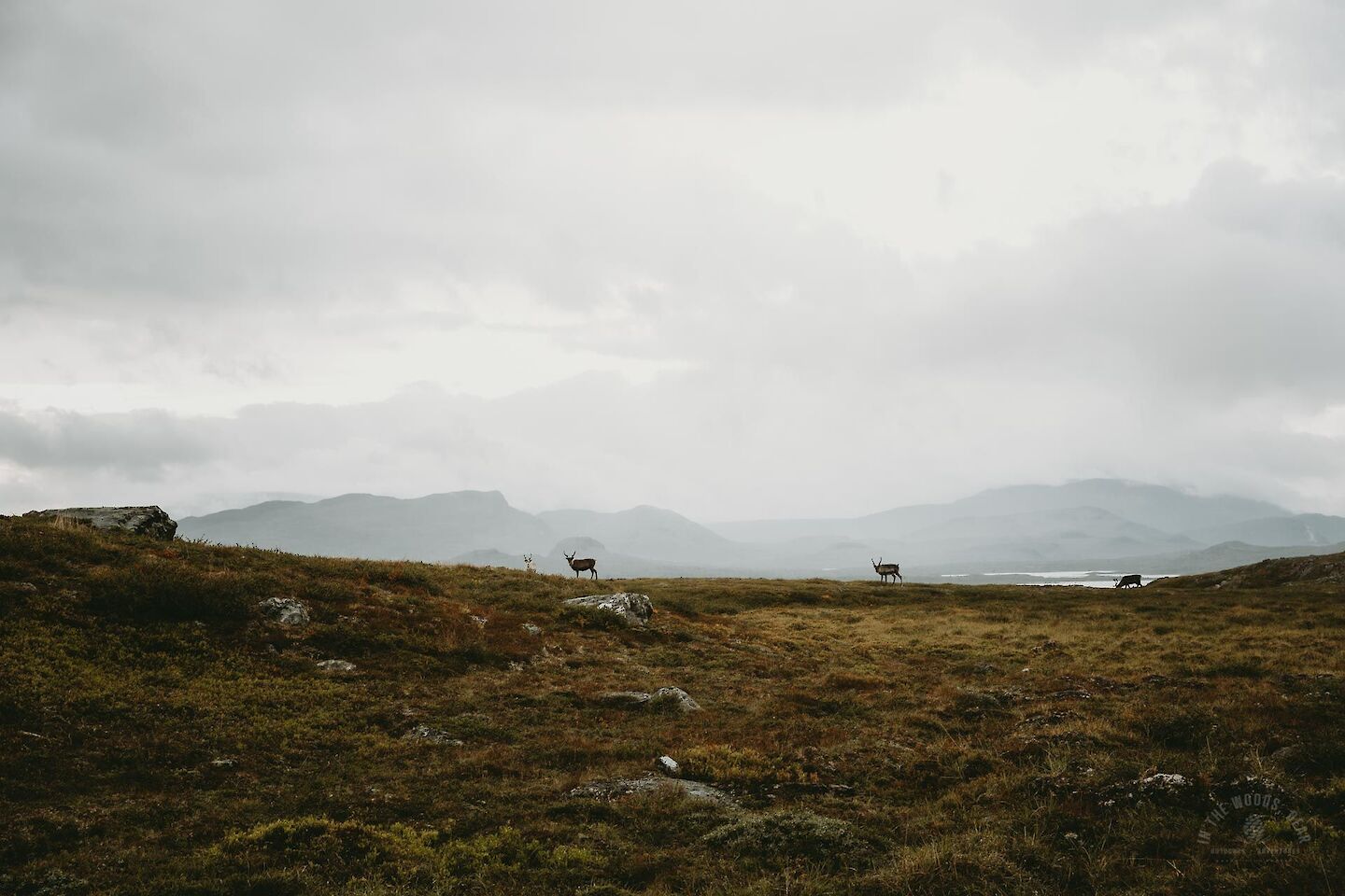 Sarek: Hiking Solo Through the Last Great Wilderness of Europe - In the ...