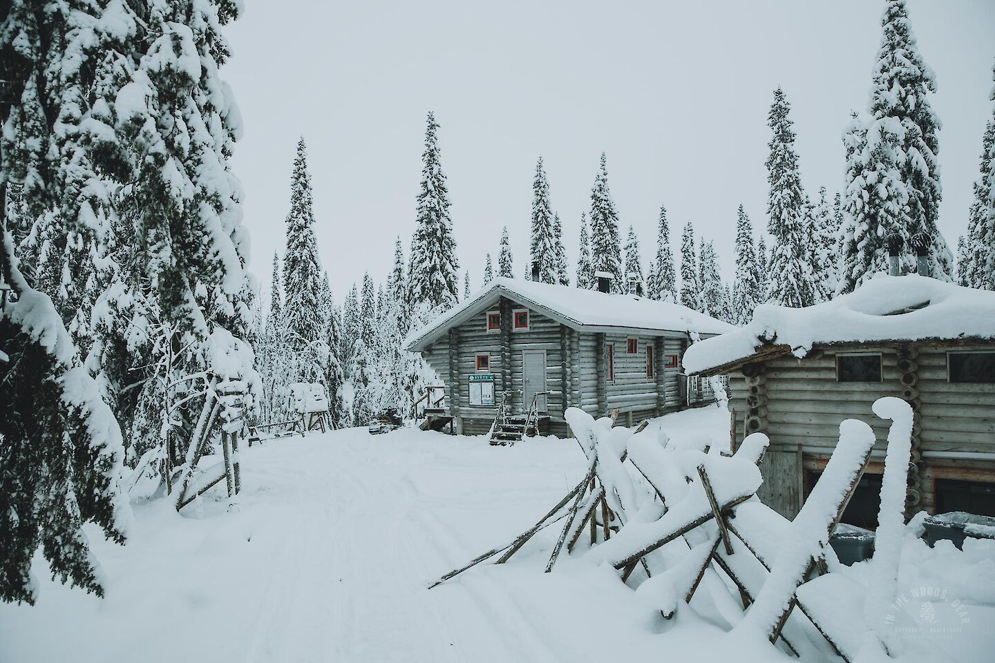Winter Hiking in Finland: Snowshoeing in Syöte National Park - In the ...