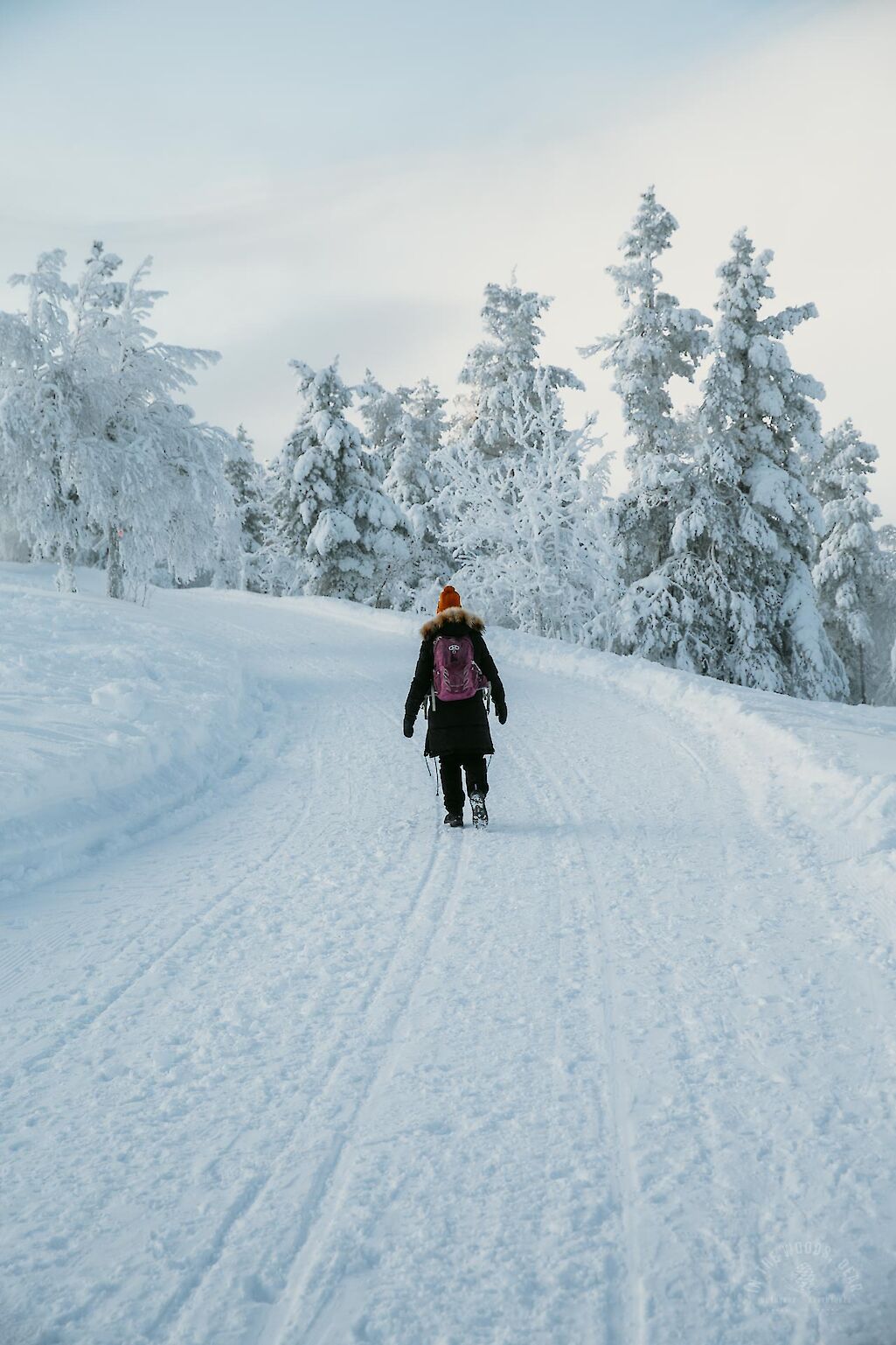 Pyhätunturi Lapland - Hiking to the Top of Pyhä in Winter - In the ...