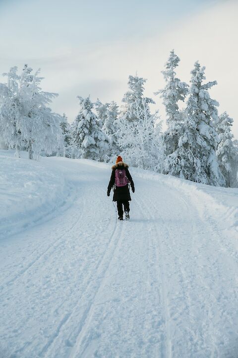 Pyhätunturi Lapland - Hiking to the Top of Pyhä in Winter - In the ...