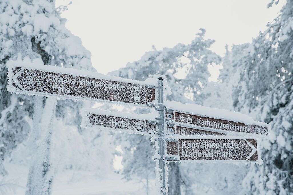 Pyhätunturi Lapland - Hiking to the Top of Pyhä in Winter - In the ...