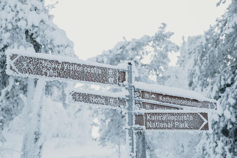 Pyhä Winter Trails: Hiking to the Top of Pyhä - In the Woods, Dear
