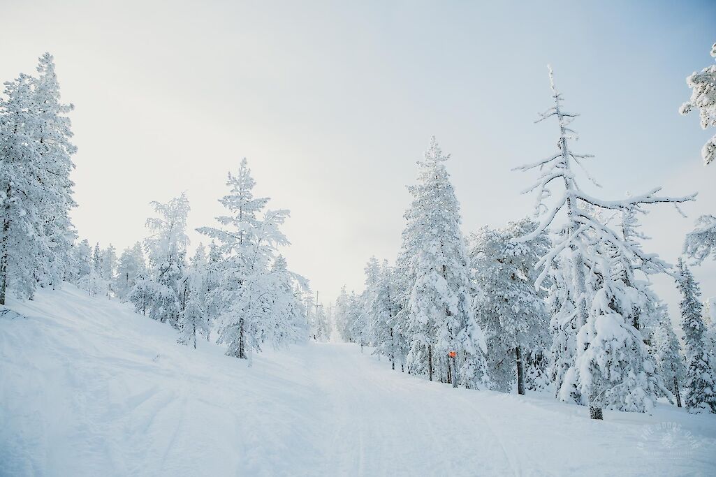 Pyhätunturi Lapland - Hiking to the Top of Pyhä in Winter - In the ...