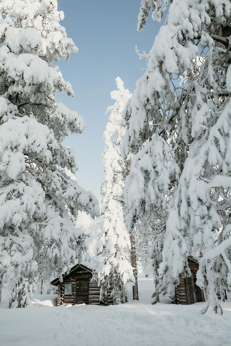 Pyhä Winter Trails: The Beautiful Soutaja Fell - In the Woods, Dear