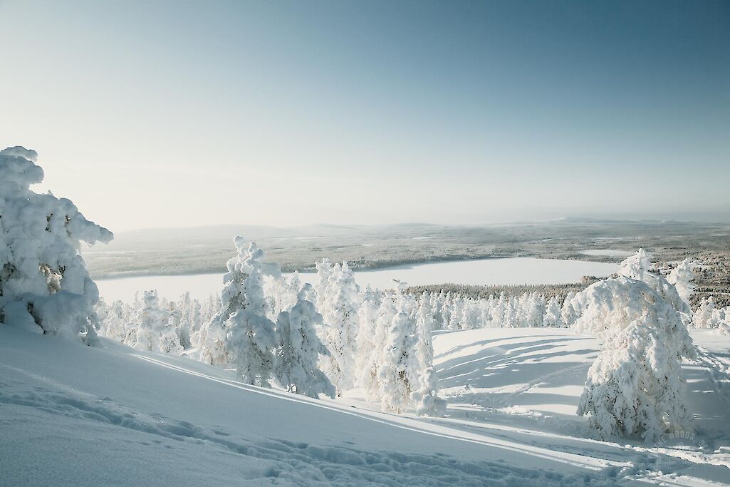 Pyhä Winter Trails: The Beautiful Soutaja Fell - In the Woods, Dear