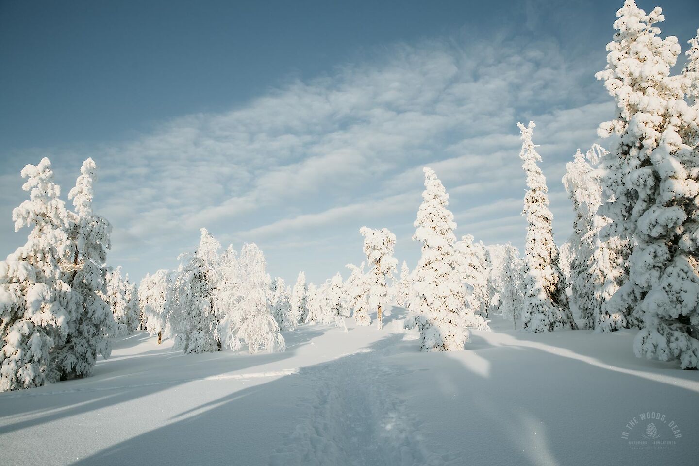Pyhä Winter Trails: The Beautiful Soutaja Fell - In the Woods, Dear