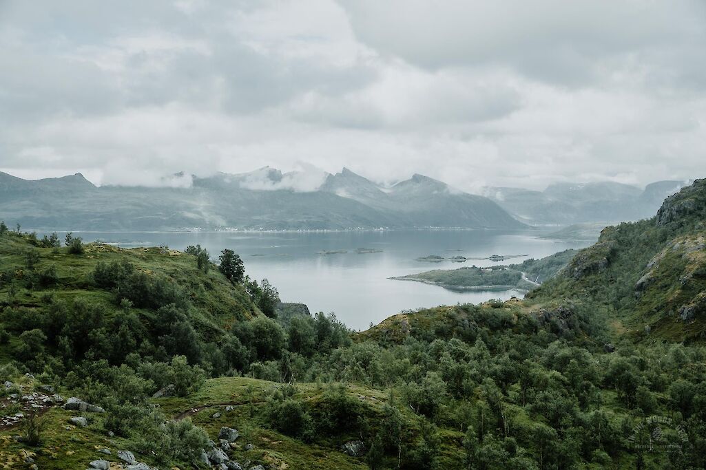 Senja Island - Sukkertoppen, Hamn i Senja - In the Woods, Dear