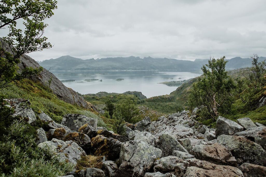 Senja Island - Sukkertoppen, Hamn i Senja - In the Woods, Dear