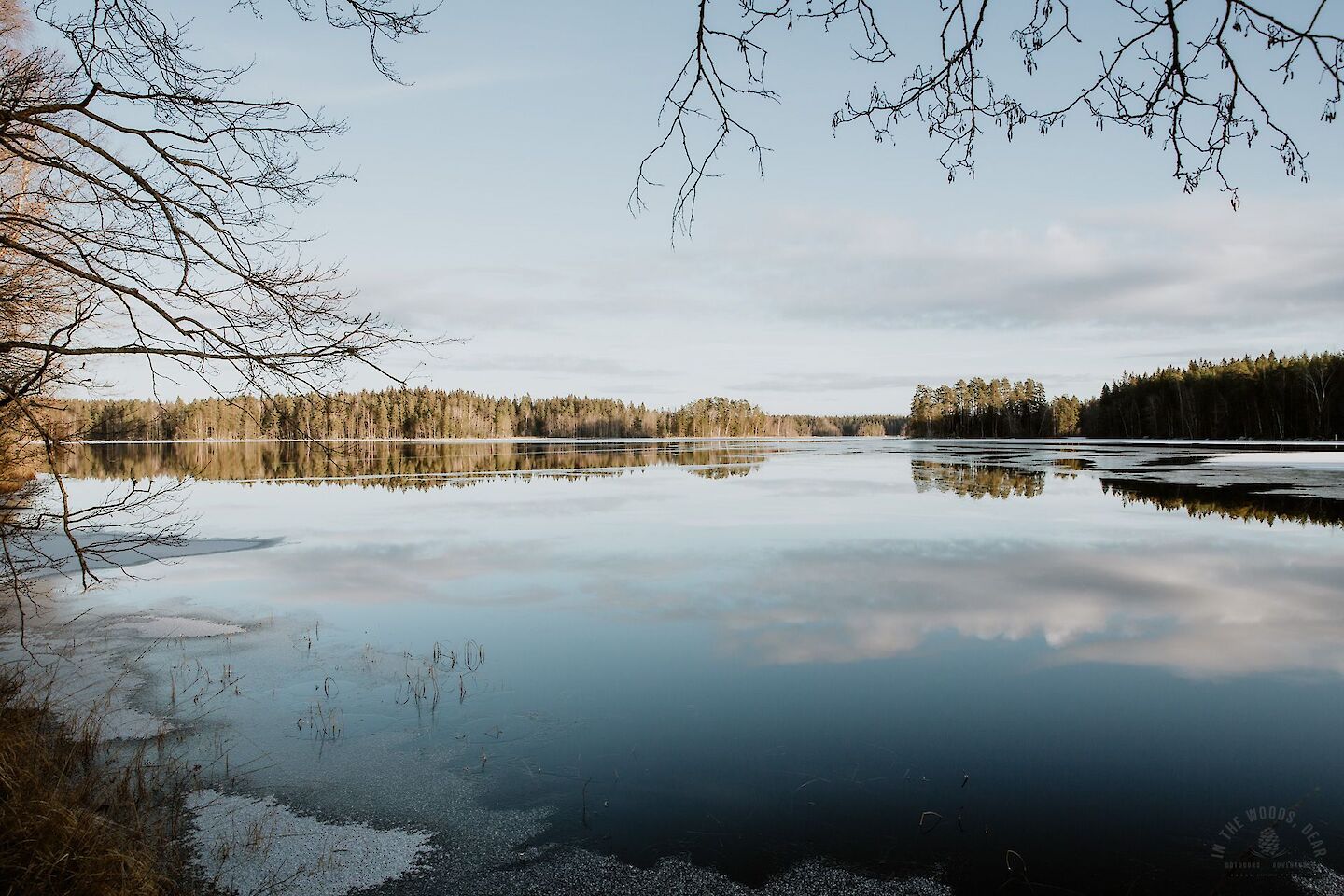 Liesjärvi National Park – Blue Lakes and Green Forests - In the Woods, Dear