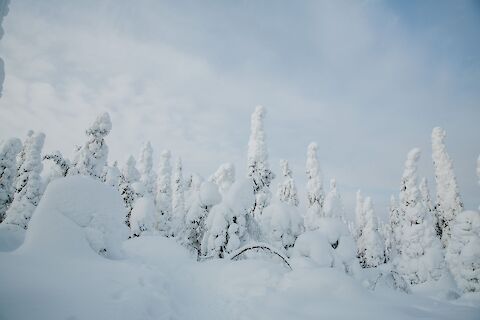 Best Hike in Ruka Finland - Valtavaara Winter Trail - In the Woods, Dear