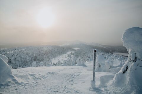 Best Hike in Ruka Finland - Valtavaara Winter Trail - In the Woods, Dear
