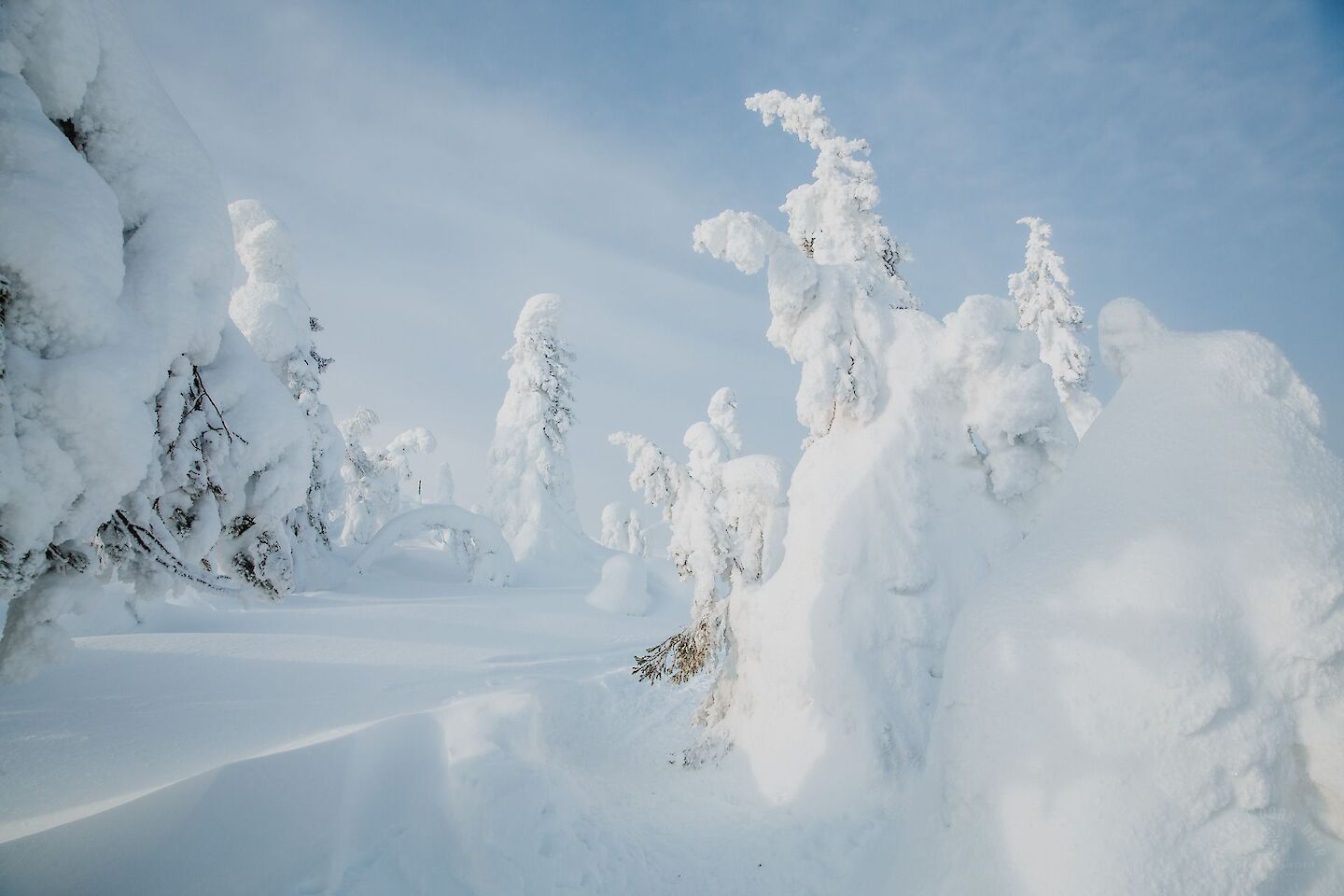 Best Hike in Ruka Finland - Valtavaara Winter Trail - In the Woods, Dear