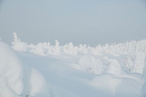 Best Hike in Ruka Finland - Valtavaara Winter Trail - In the Woods, Dear