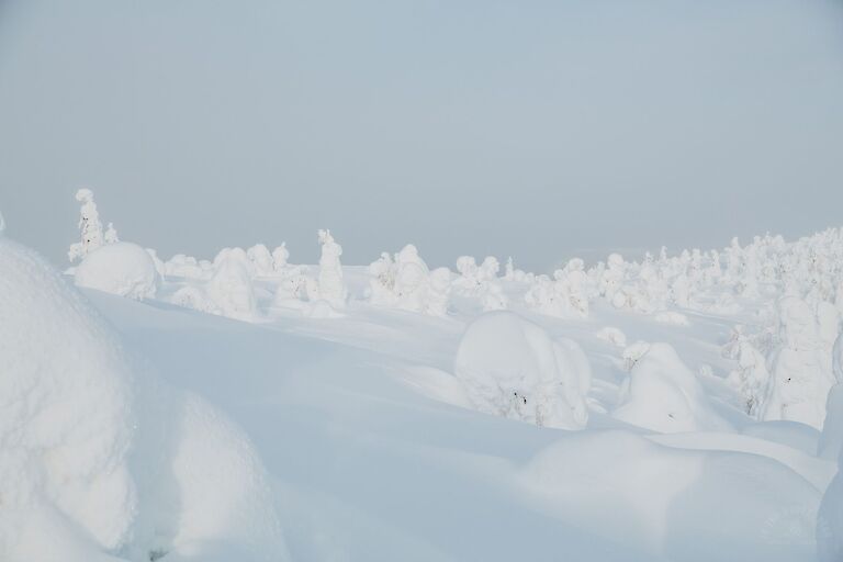 Best Hike in Ruka Finland - Valtavaara Winter Trail - In the Woods, Dear