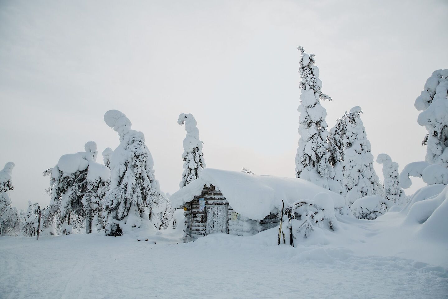 Best Hike in Ruka Finland - Valtavaara Winter Trail - In the Woods, Dear