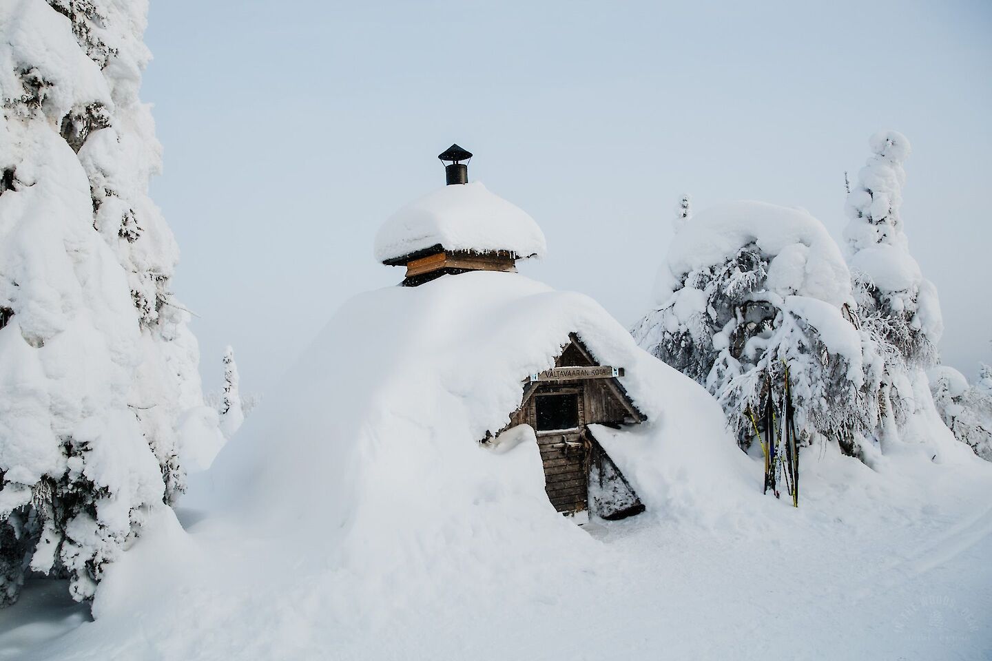 Best Hike in Ruka Finland - Valtavaara Winter Trail - In the Woods, Dear