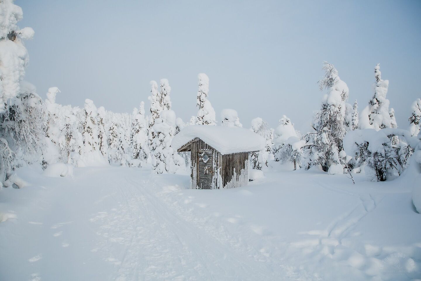 Best Hike in Ruka Finland - Valtavaara Winter Trail - In the Woods, Dear