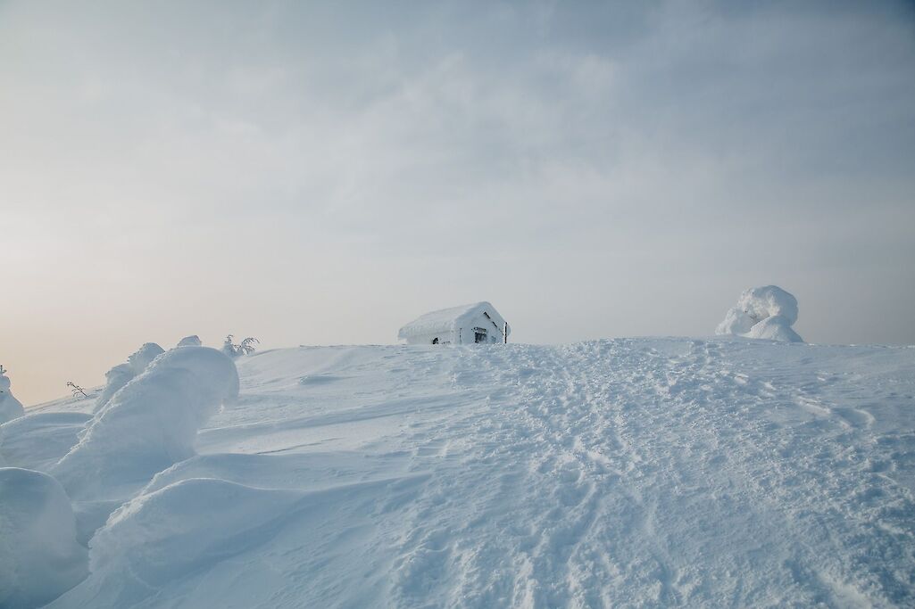 Best Hike in Ruka Finland - Valtavaara Winter Trail - In the Woods, Dear