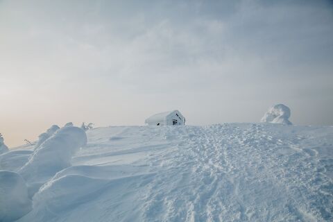 Best Hike in Ruka Finland - Valtavaara Winter Trail - In the Woods, Dear