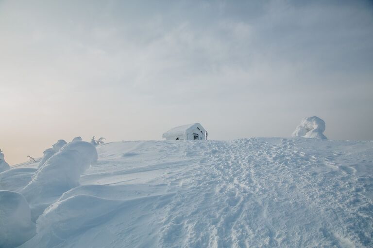 Best Hike in Ruka Finland - Valtavaara Winter Trail - In the Woods, Dear
